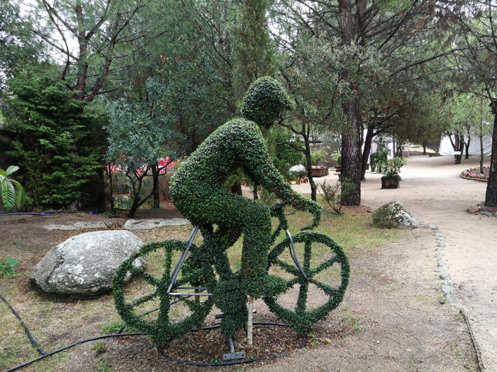 DESCUBRE - San Martín de Valdeiglesias El Bosque Encantado