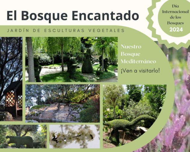 gema - El Bosque Encantado - Parque Jardín Botánico